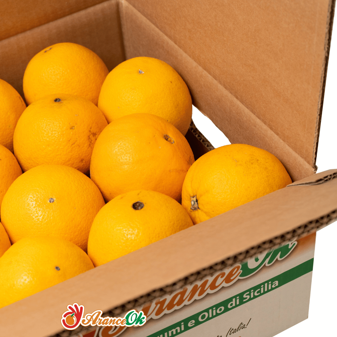 ARANCE FIORONI (GRANDI) Navel di Sicilia - arance di ribera