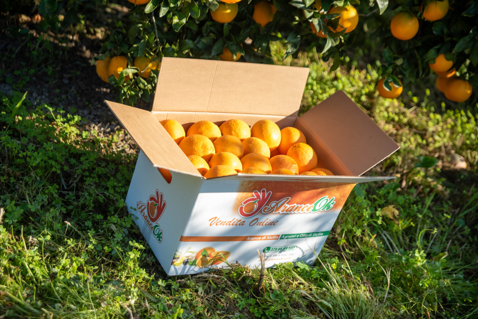 ARANCE DA SPREMUTA (PICCOLE) Navel di Sicilia - arance di ribera