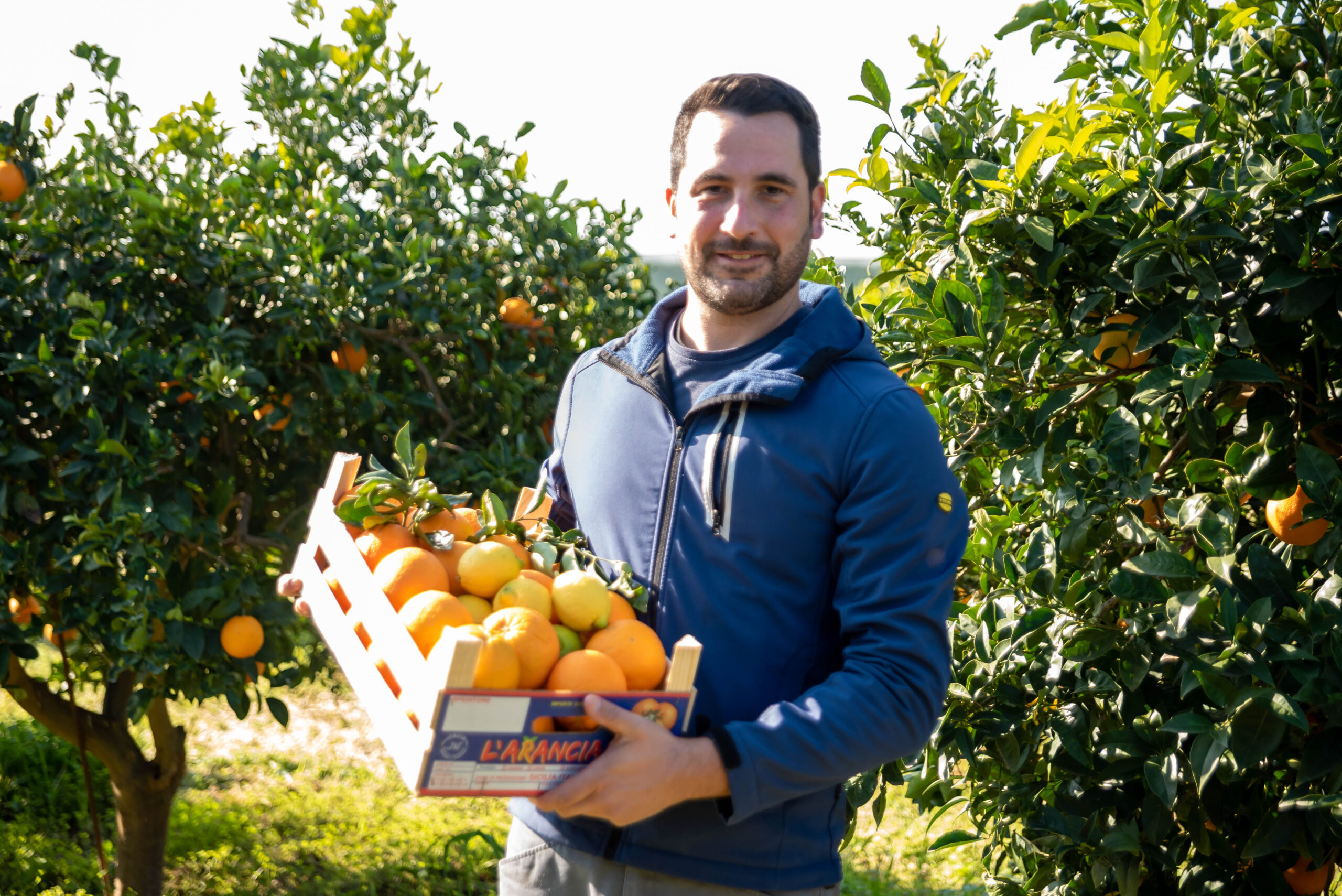 Recensioni - arance di ribera